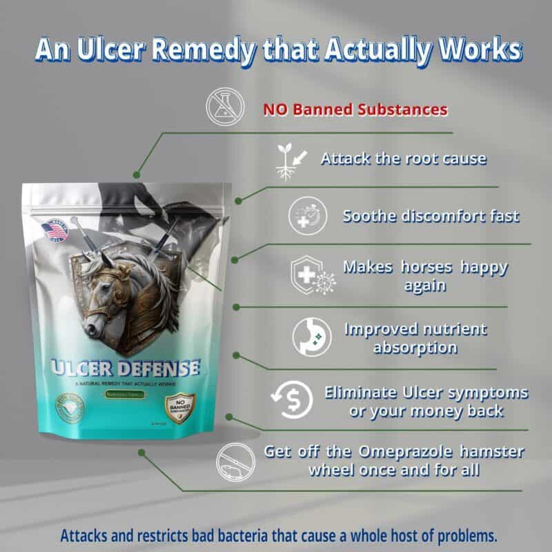 Ulcer Defense Maintenance | Natural Horse Ulcer Supplement | EEHP